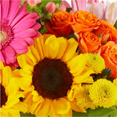 Sanford Florist | Same Day Flower Delivery by Seminole Flower Shop Inc